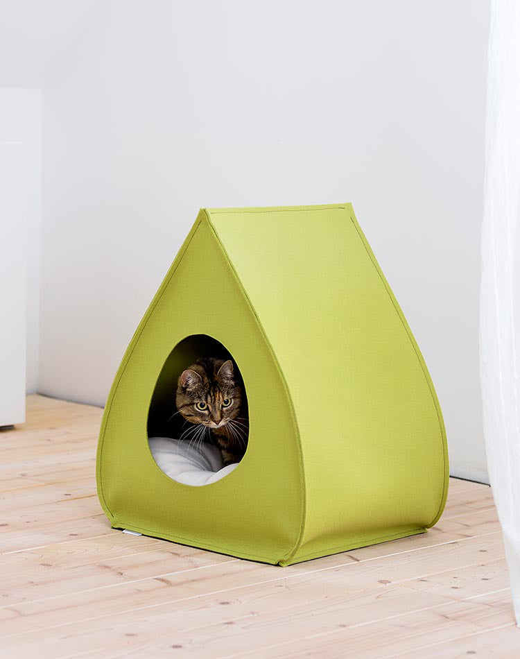 Cat Igloos – Chelsea Cats