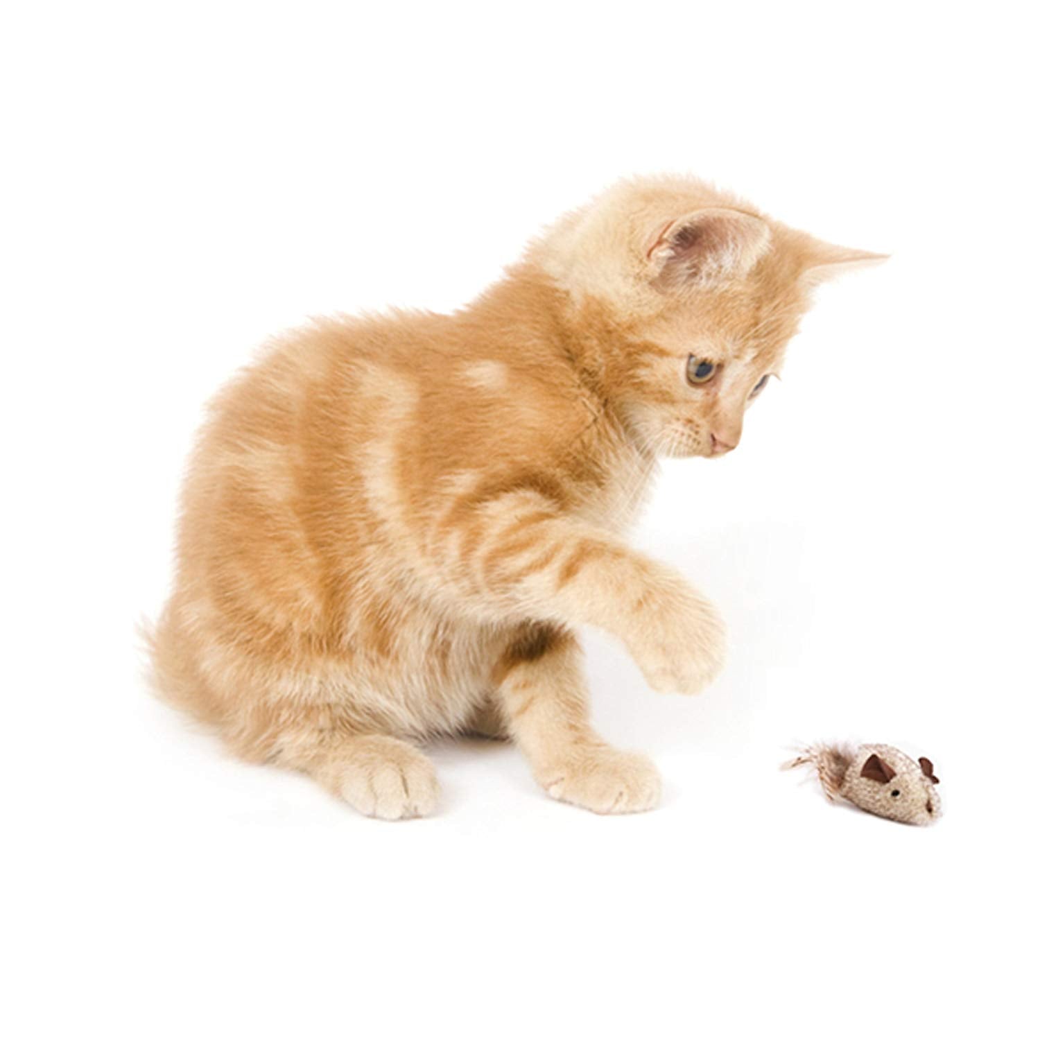 Kitten Toys – Chelsea Cats