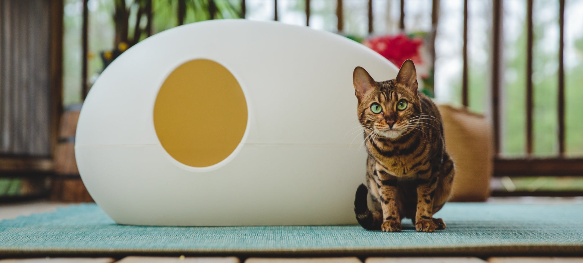 Chelsea Cats - The home of luxury cat accessories